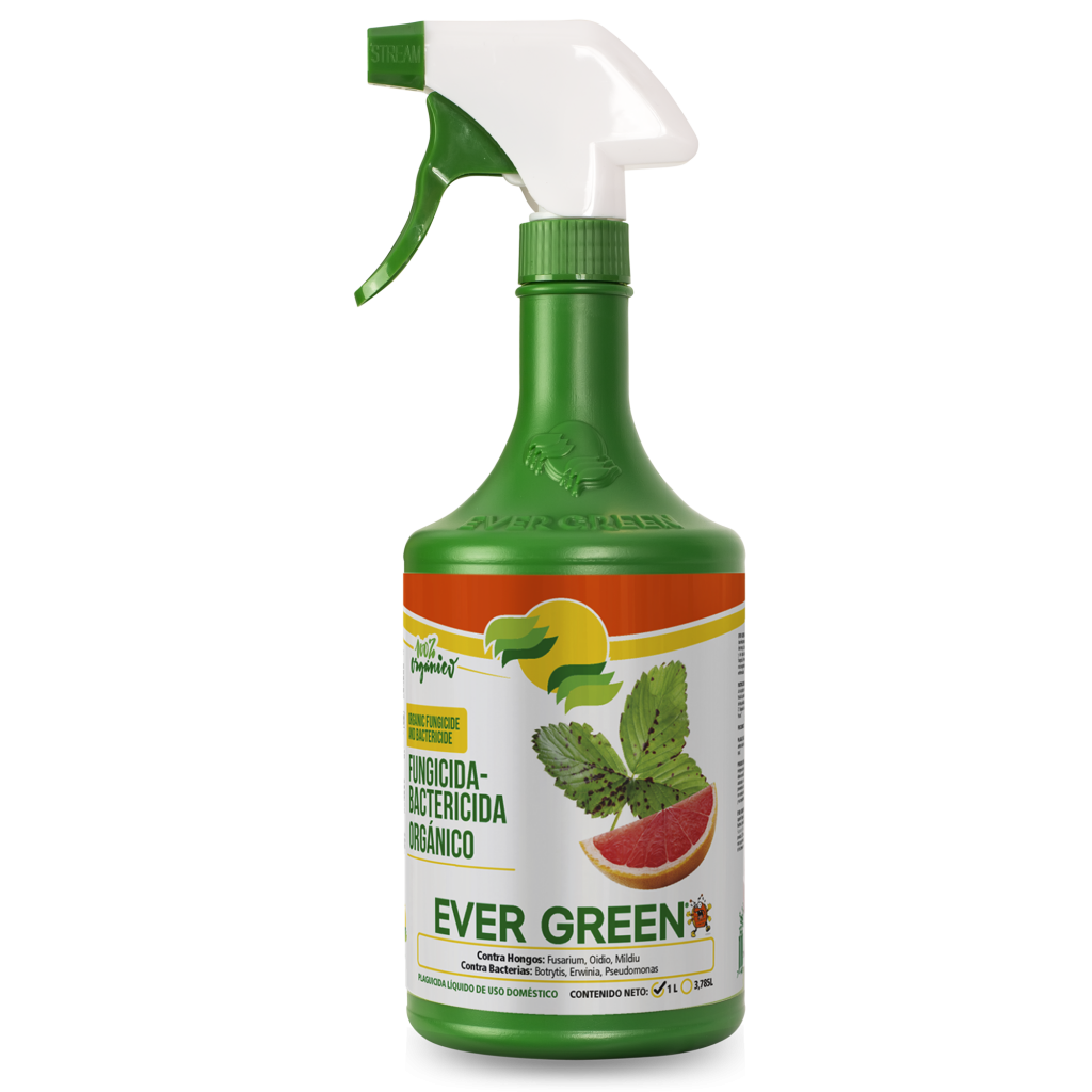 Ever Green Fungicida Bactericida Organico | Evergreen CR