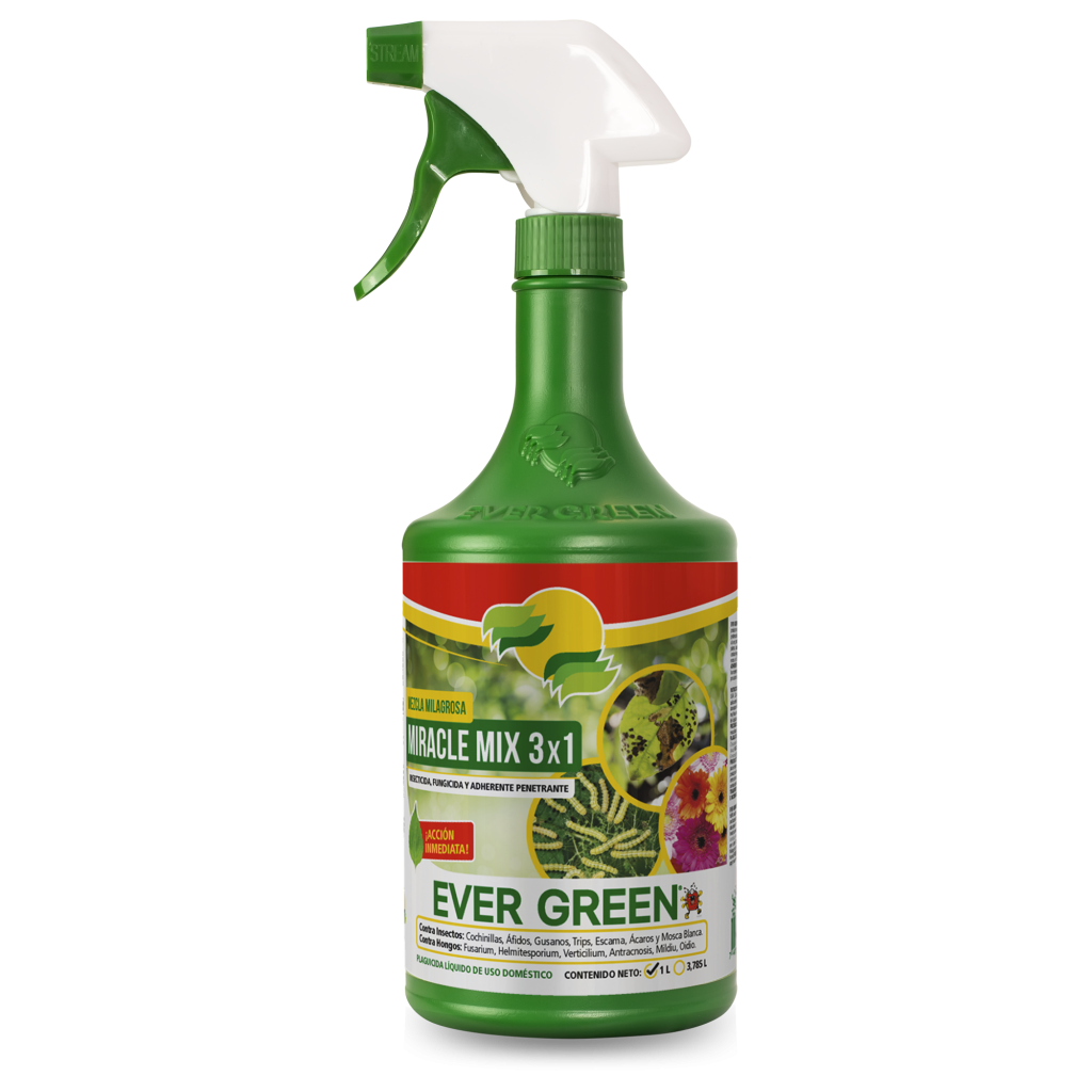 Insecticidas y fungicidas archivos - Evergreen CR