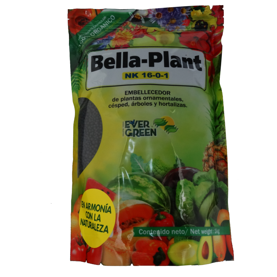bella plant | Evergreen CR