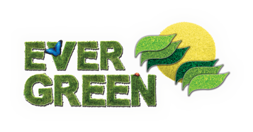 Ever Green